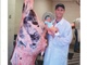 Photos Past & Present | Belschner Custom Meats